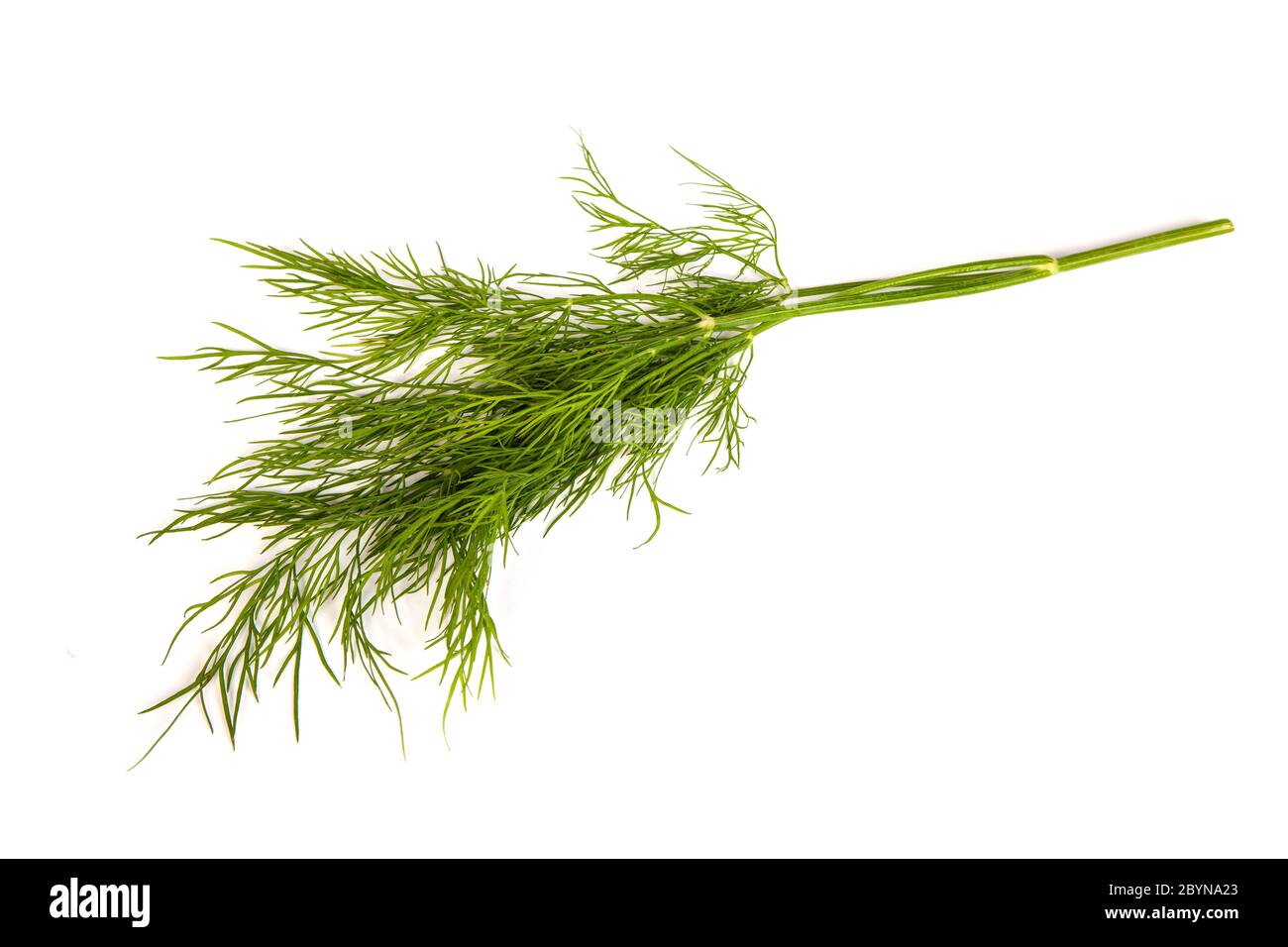 Fresh branches of green dill isolated Stock Photo - Alamy