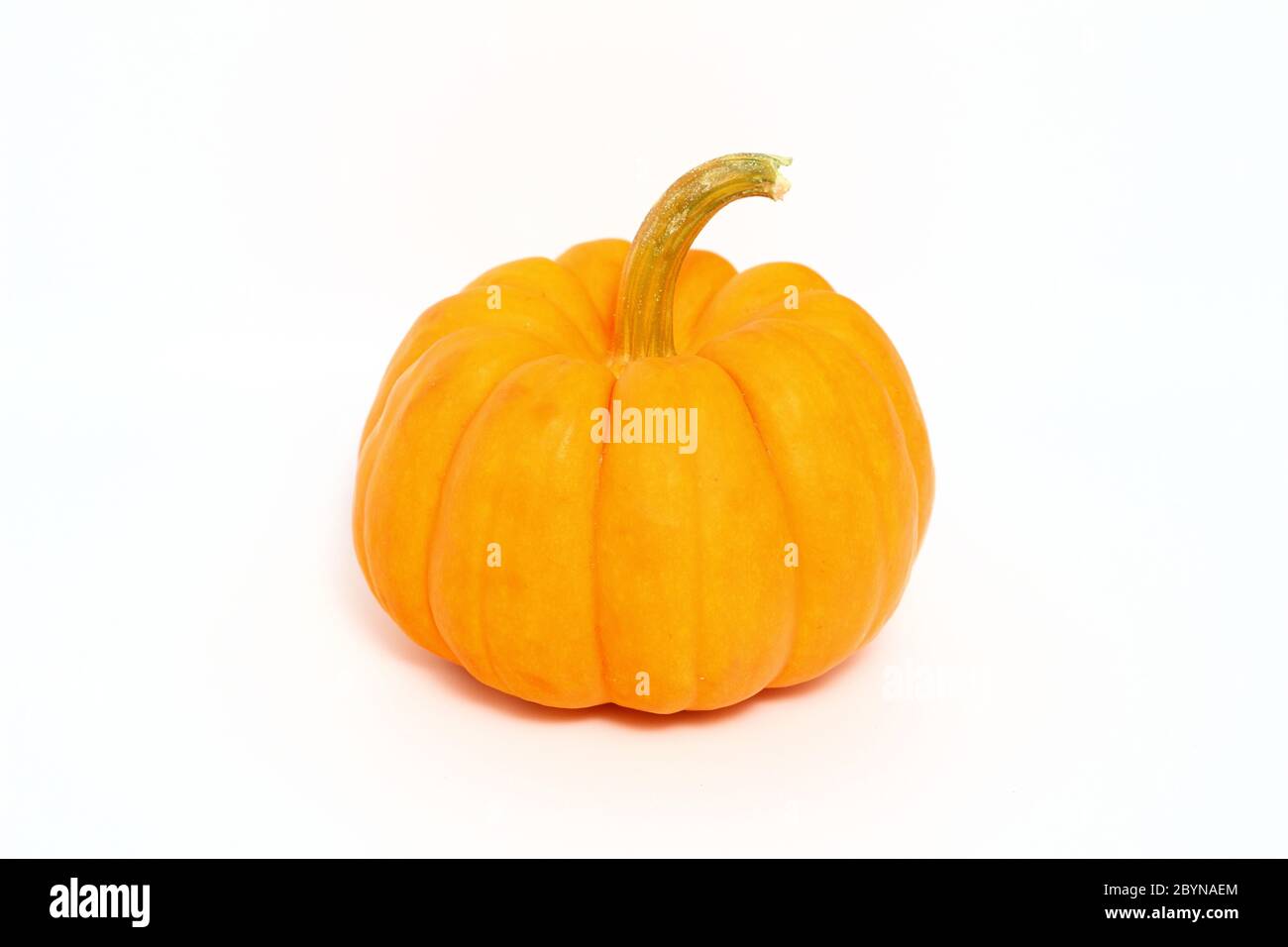 golden pumpkin for chinese new year, fancy pumpkin isolated on white ...