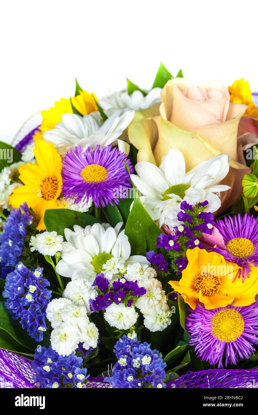 spring flowers background on white background Stock Photo - Alamy