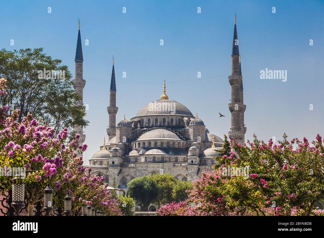 The Blue Mosque, (Sultanahmet Camii), Istanbul, Turkey Stock Photo - Alamy