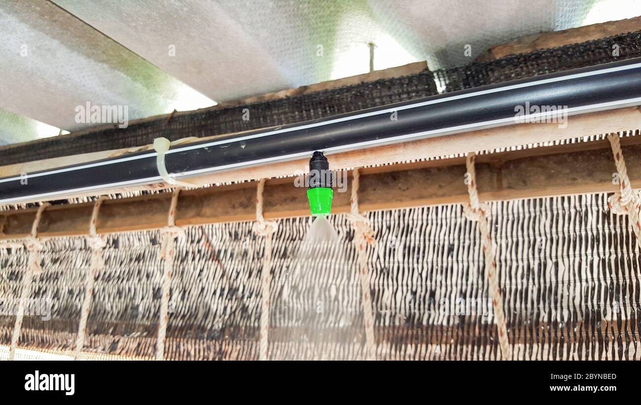 Misting system hi-res stock photography and images - Alamy