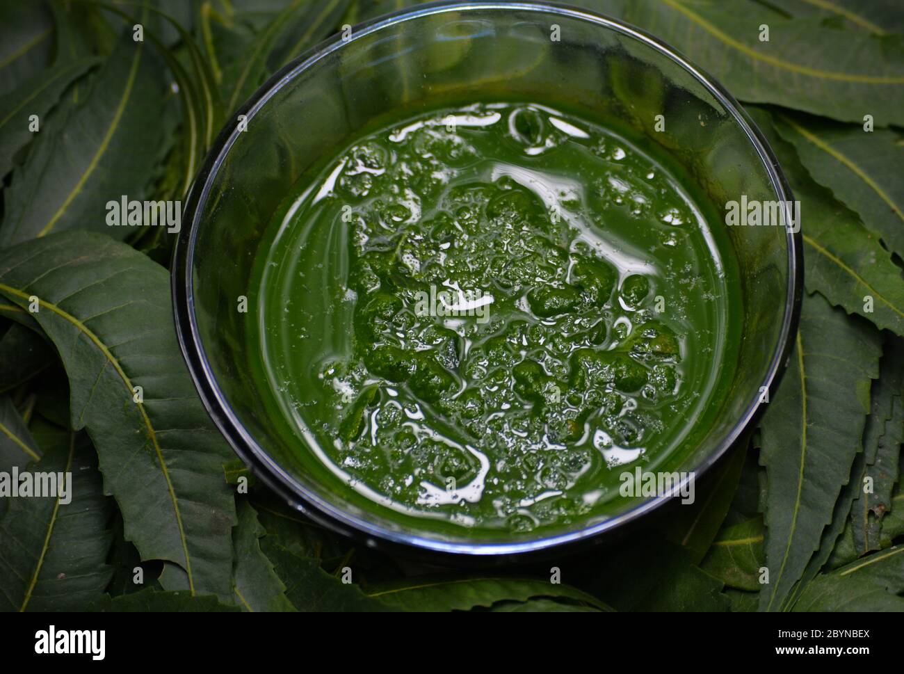 Medicinal ayurvedic azadirachta indica or Neem leaves with neem paste ...