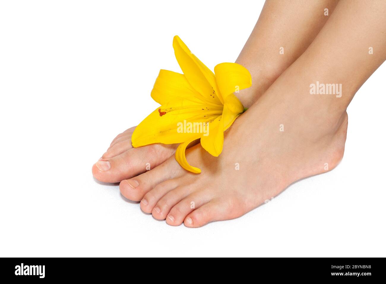 Beautiful woman legs with flower , isolated on white Stock Photo - Alamy