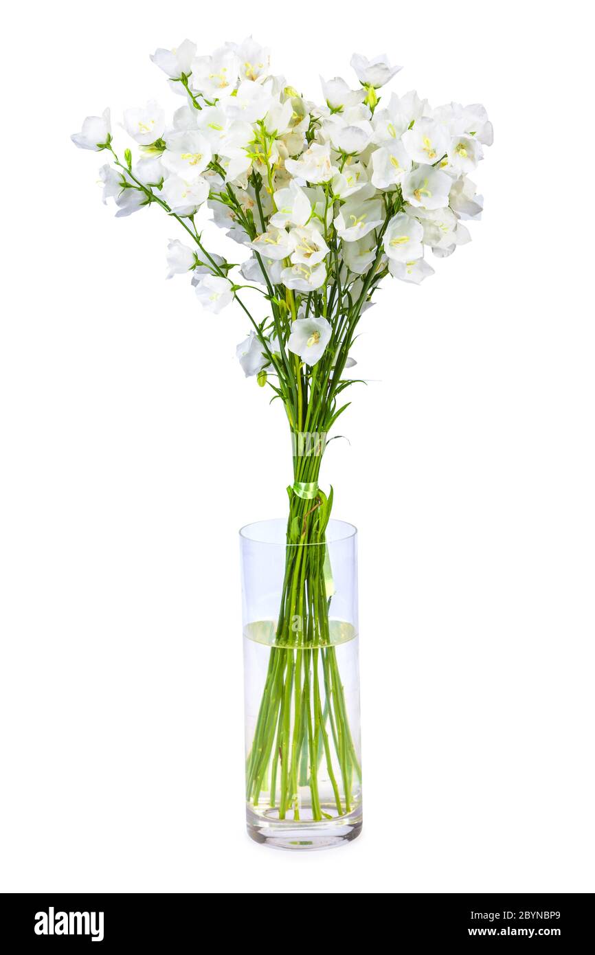 spring flowers background on white background Stock Photo - Alamy