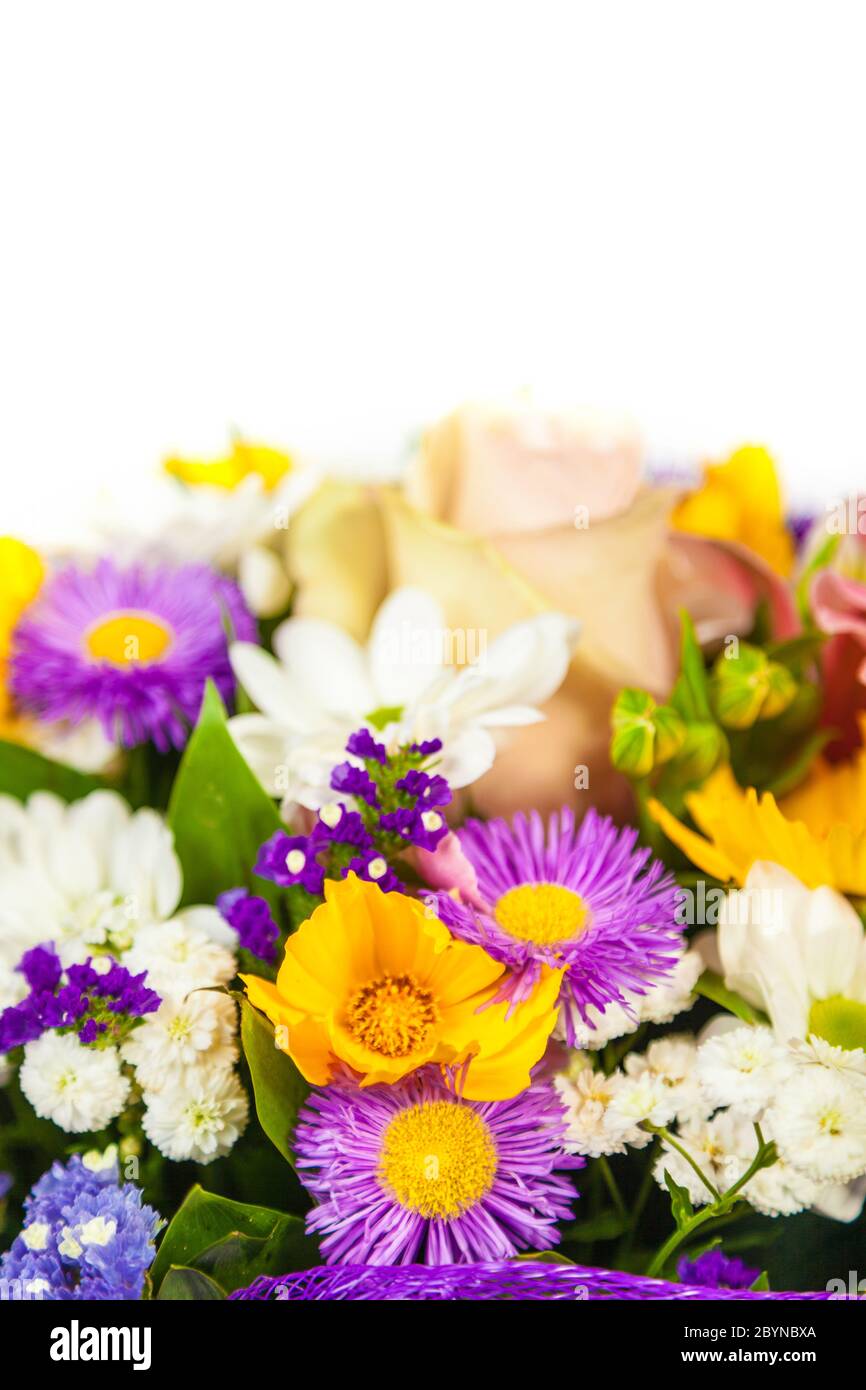 spring flowers background on white background Stock Photo - Alamy