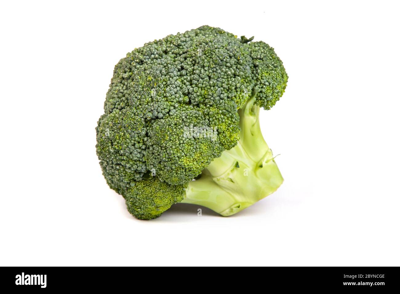 Single broccoli floret isolated on white Stock Photo - Alamy