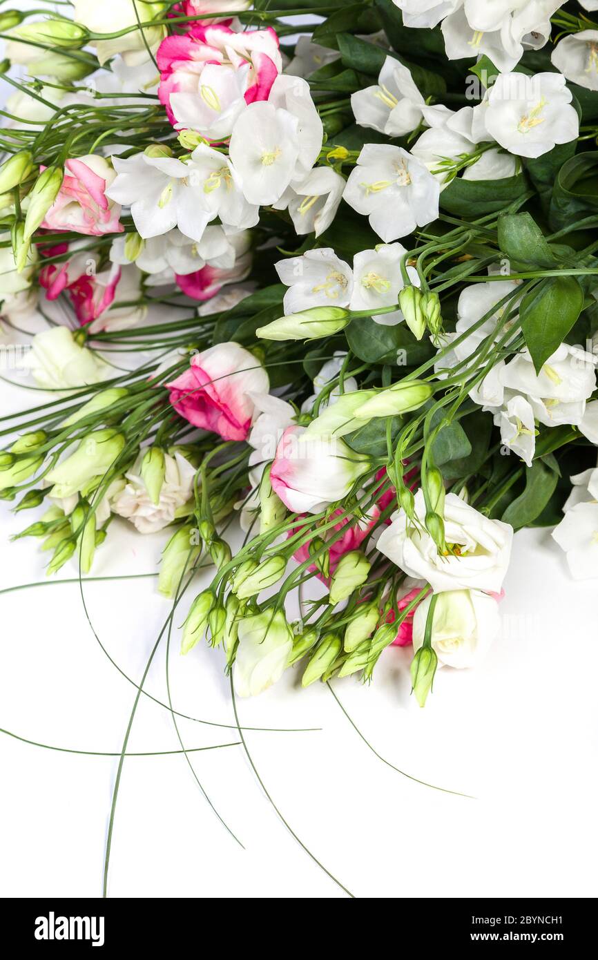 spring flowers background on white background Stock Photo - Alamy