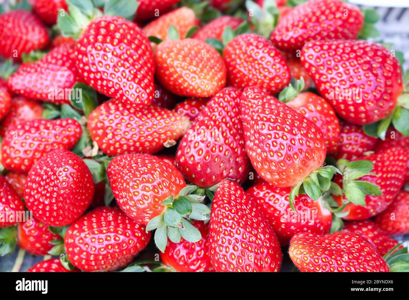 fresh strawberry from farm Stock Photo - Alamy