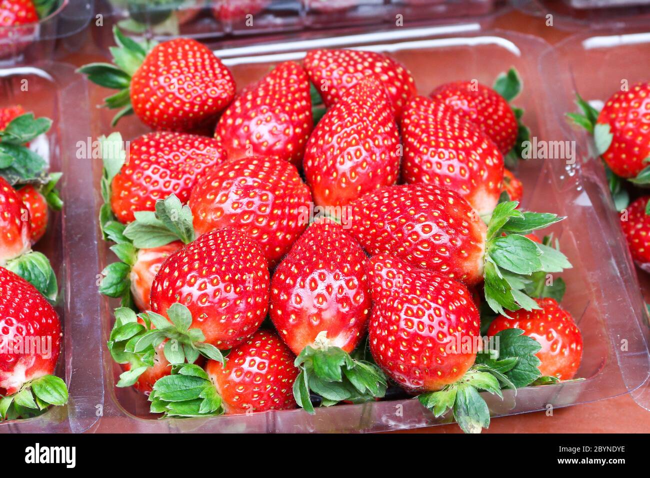 fresh strawberry from farm Stock Photo - Alamy