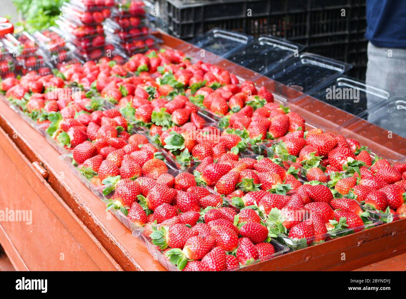 fresh strawberry from farm Stock Photo - Alamy