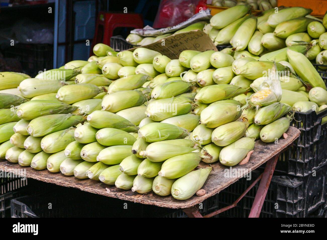 corn in market, malaysia Stock Photo - Alamy