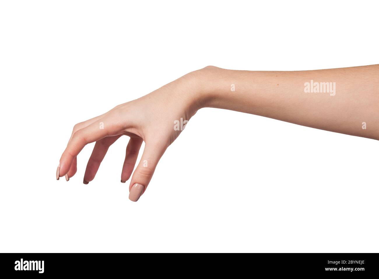 Female hand reaching for something on white Stock Photo - Alamy