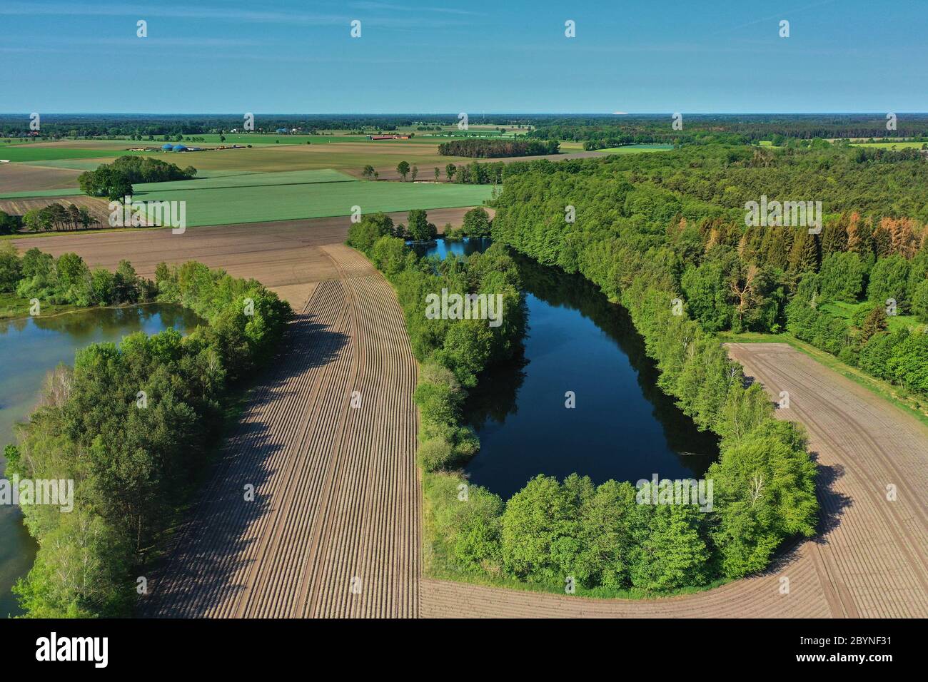 Aerial view of a small dark blue pond with high trees on the bank ...