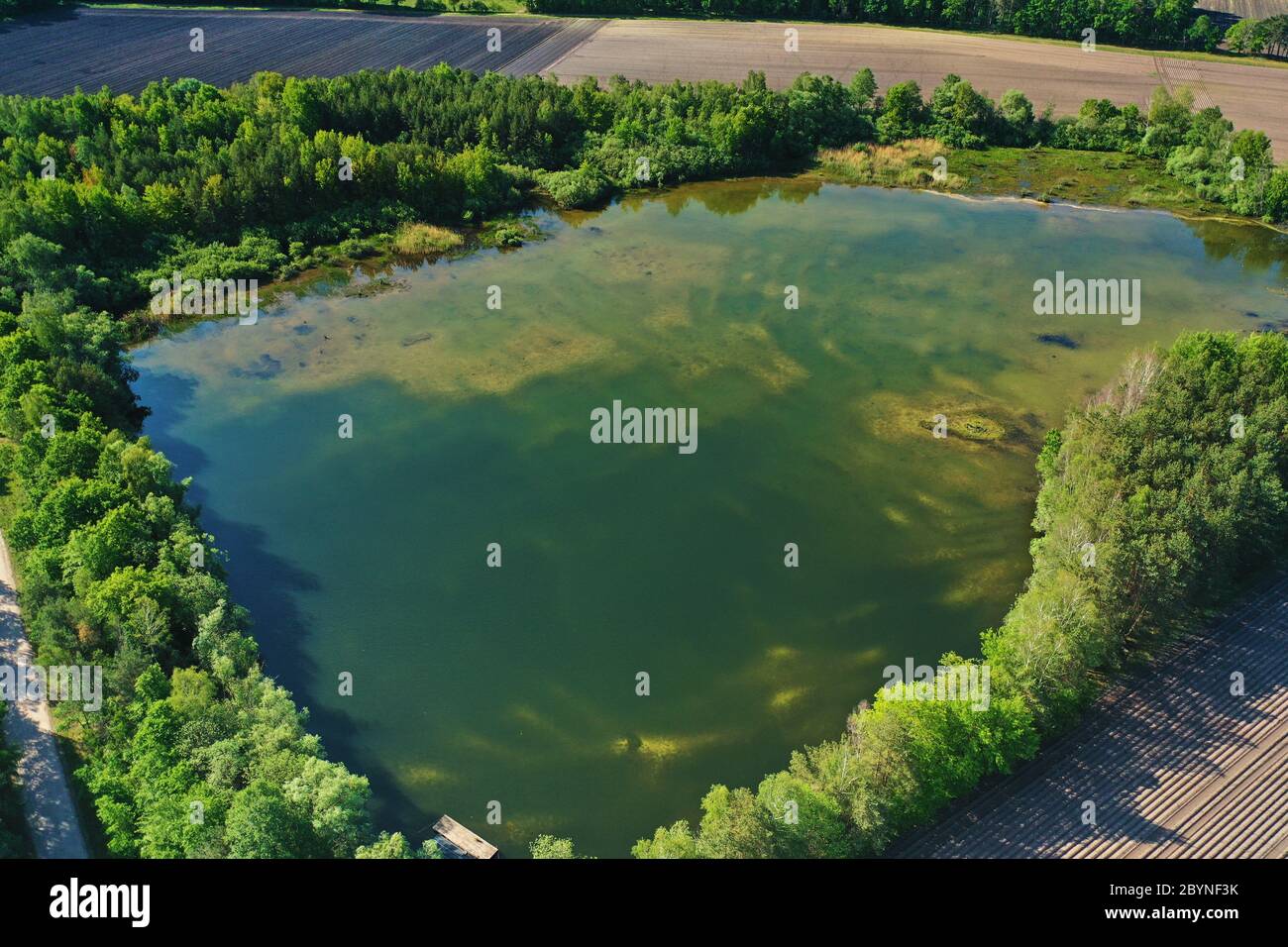 Aerial view of an almost rectangular shallow pond, through whose clear ...