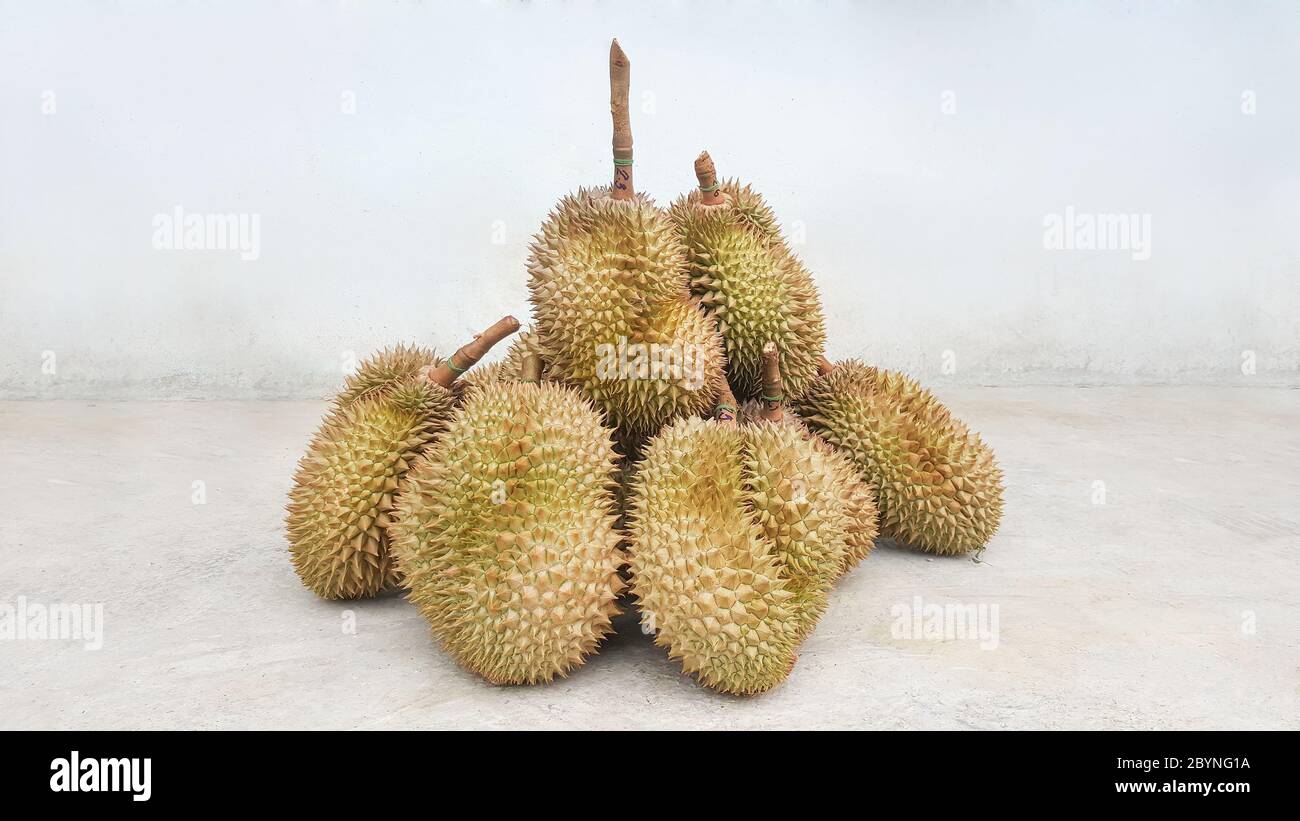 Southeast asian fruits taste of asia taste of thailand fruit hi-res ...
