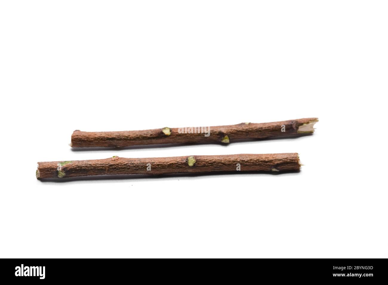Neem sticks isolated on white background Stock Photo - Alamy