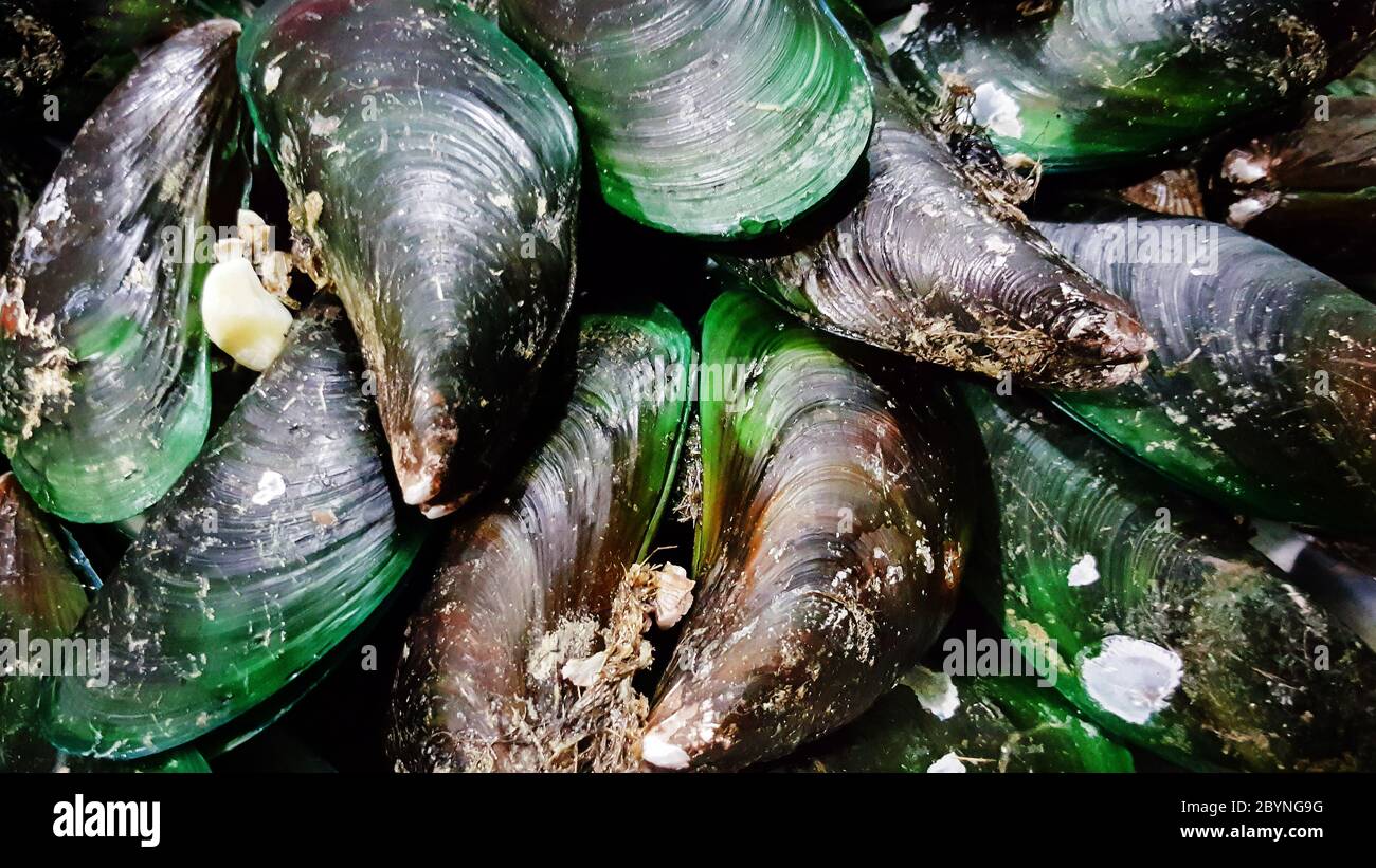big mussels seafood menu Stock Photo - Alamy