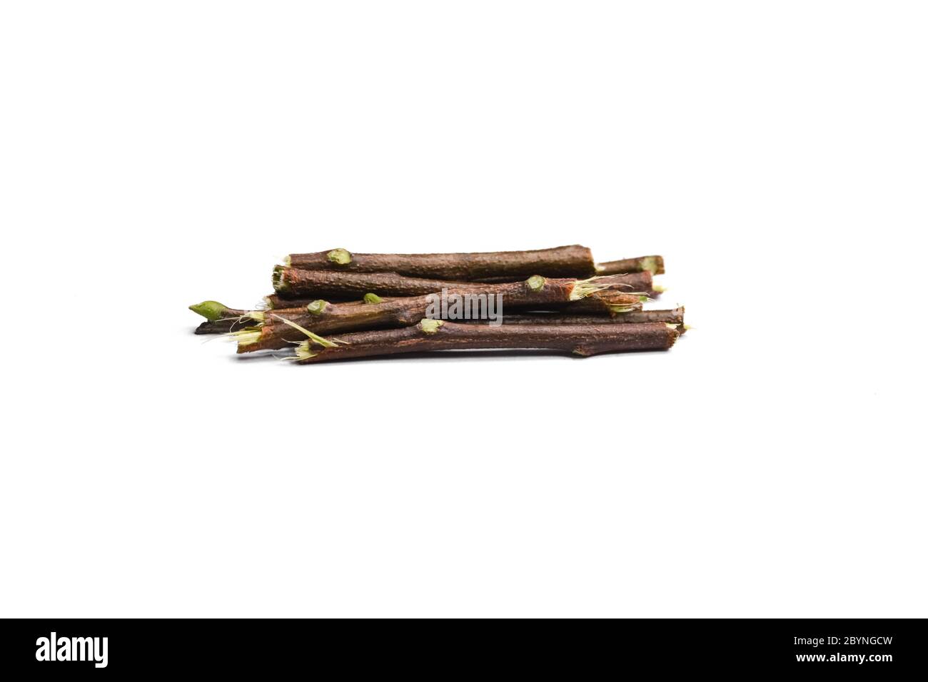 Neem sticks isolated on white background Stock Photo - Alamy