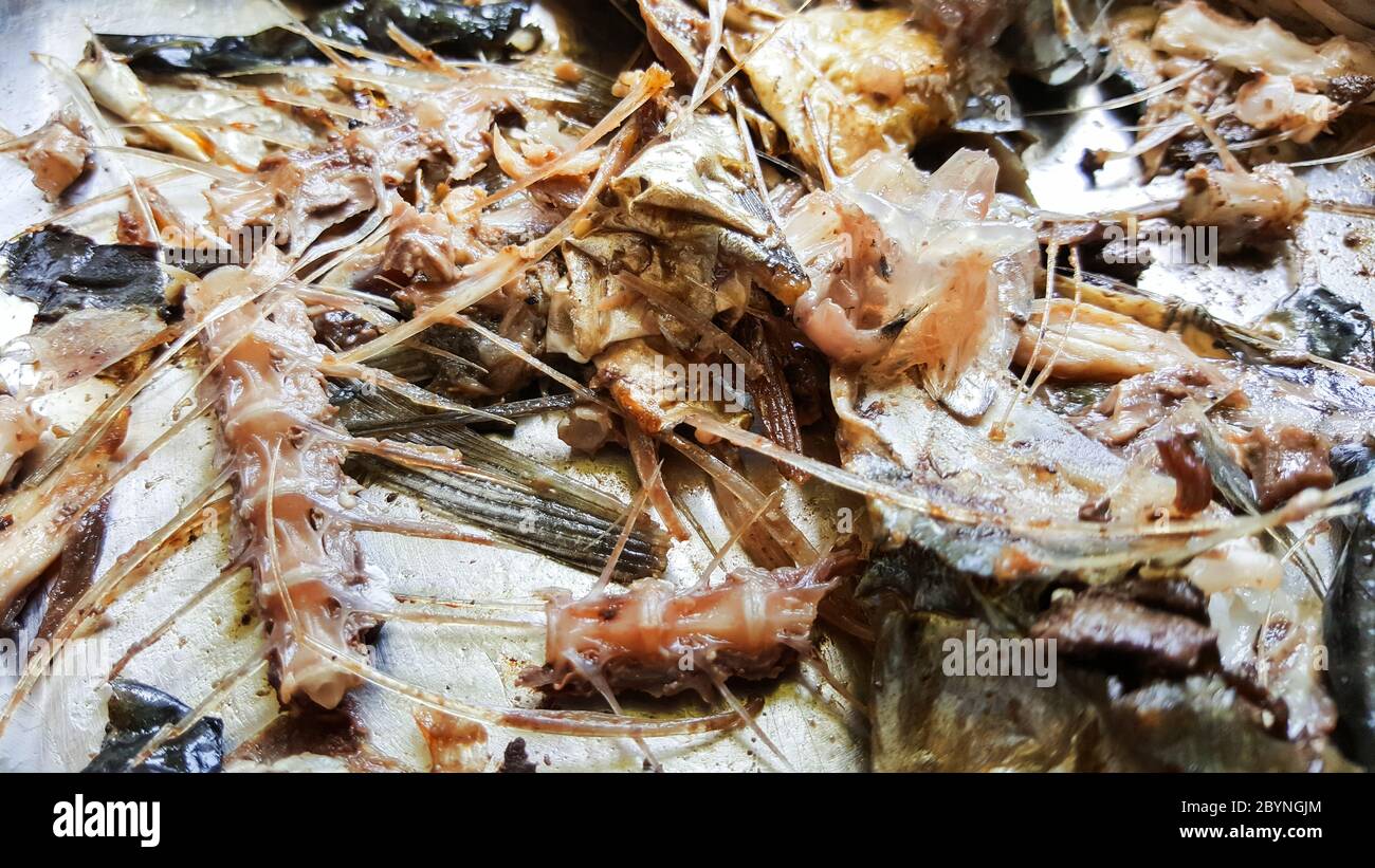 saba fish bone Stock Photo - Alamy