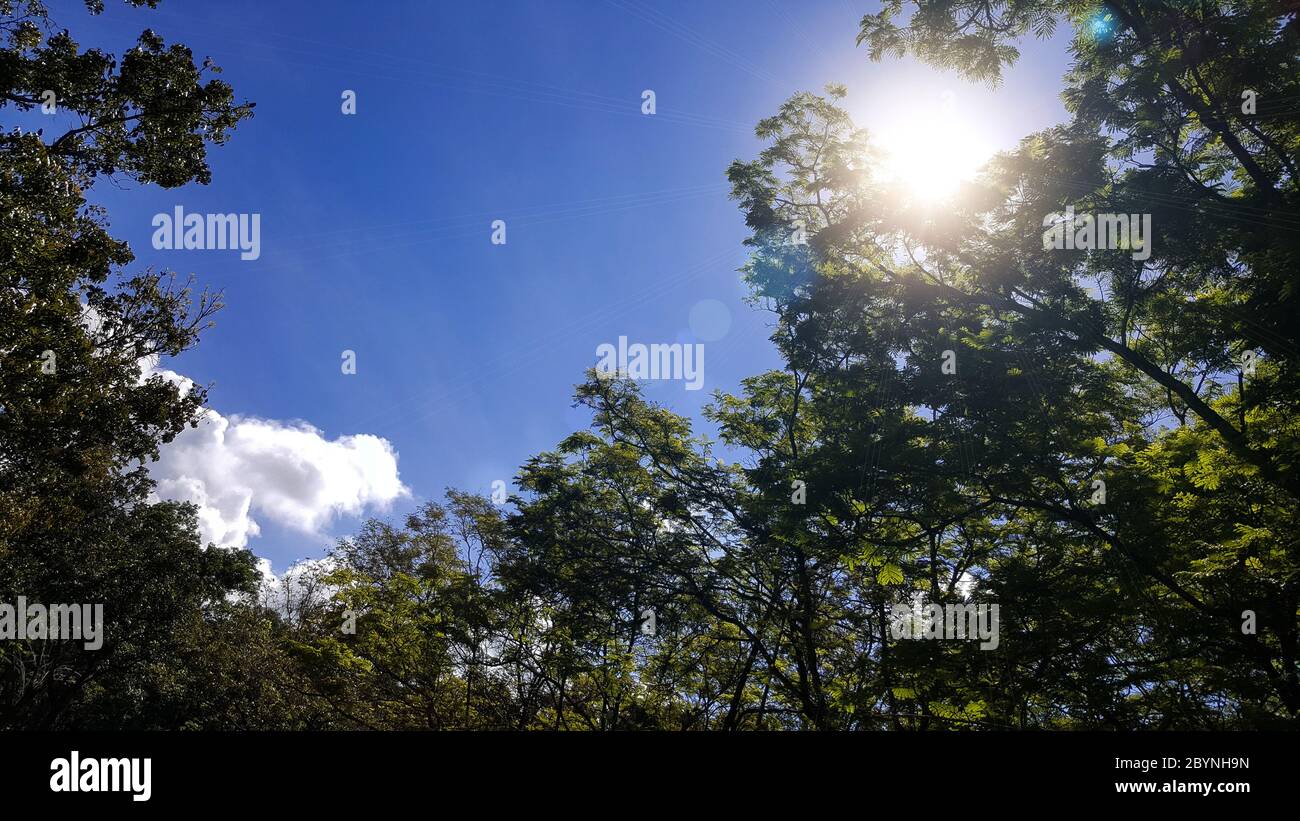 Green natural background ray hi-res stock photography and images - Alamy