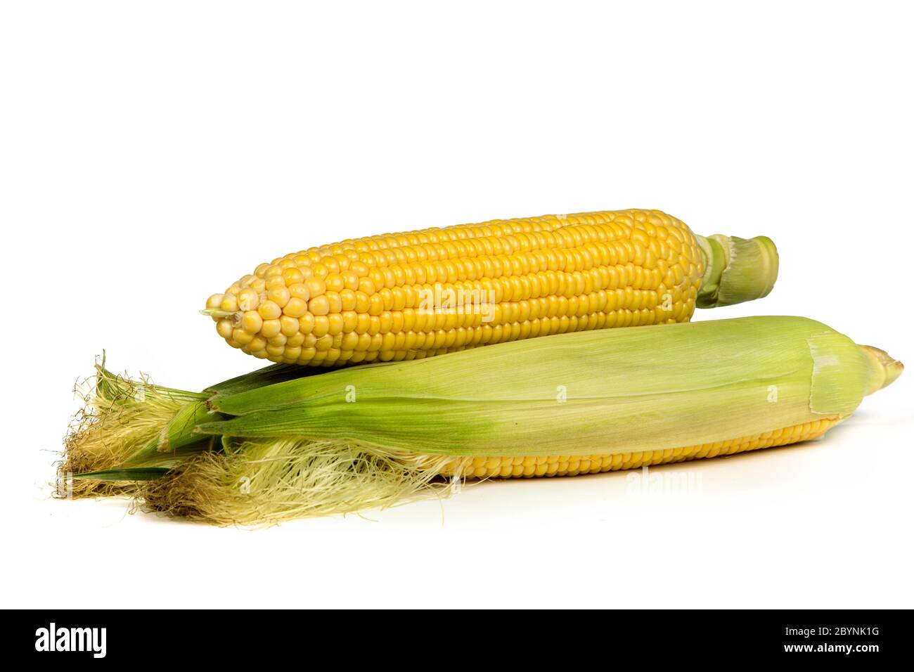 Fresh uncooked corn on the cob Stock Photo - Alamy
