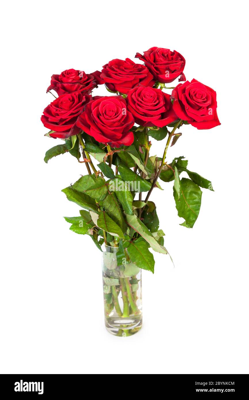 Three fresh red roses over white background Stock Photo - Alamy