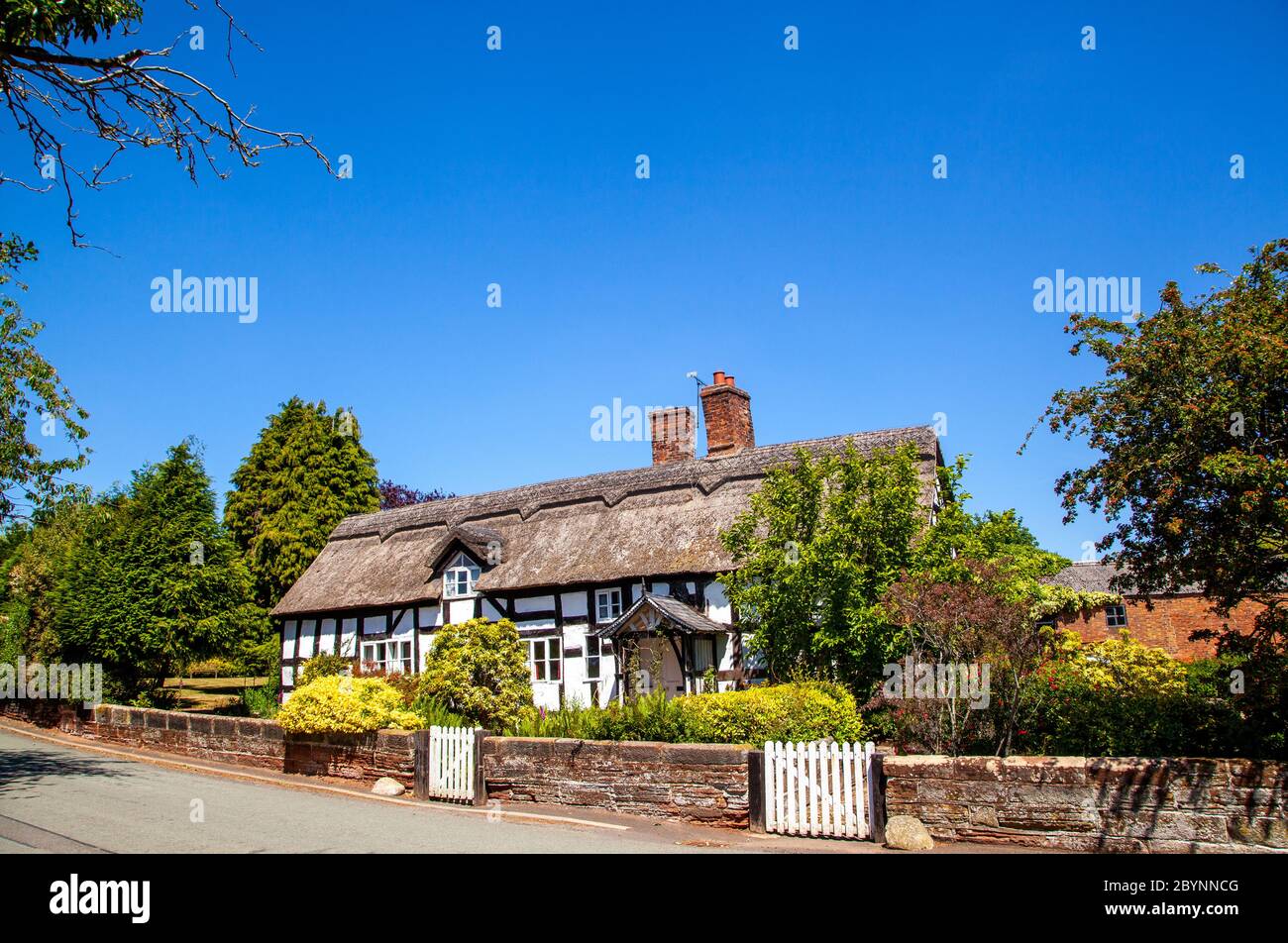 Half timbered thatched cottage hi-res stock photography and images - Alamy