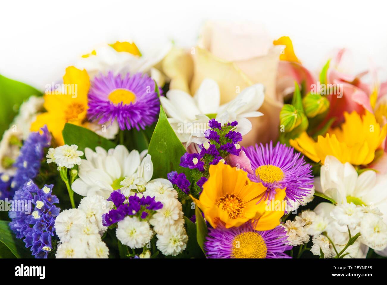 spring flowers background on white background Stock Photo - Alamy