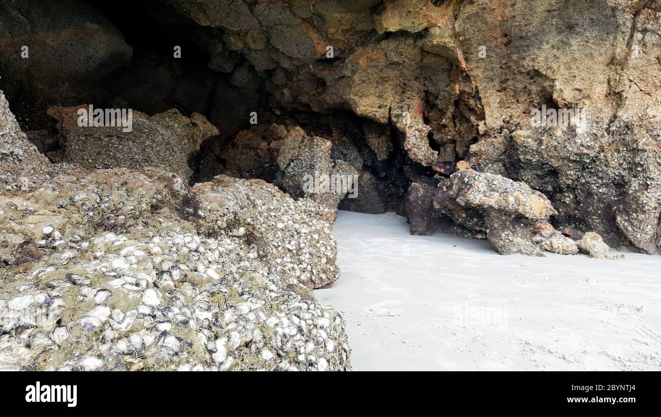 Deep shell hole hi-res stock photography and images - Alamy