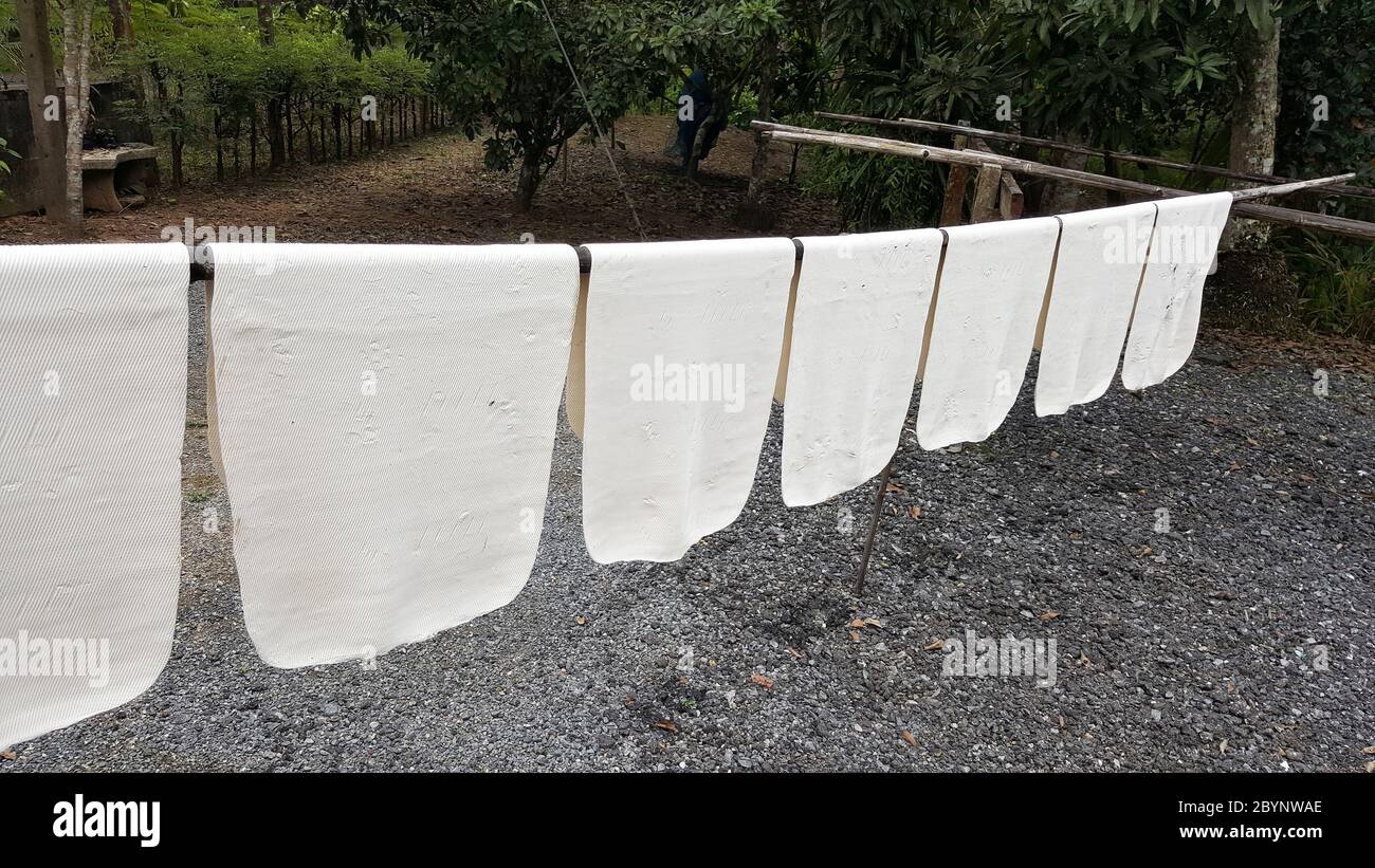 Rubber raw hi-res stock photography and images - Alamy
