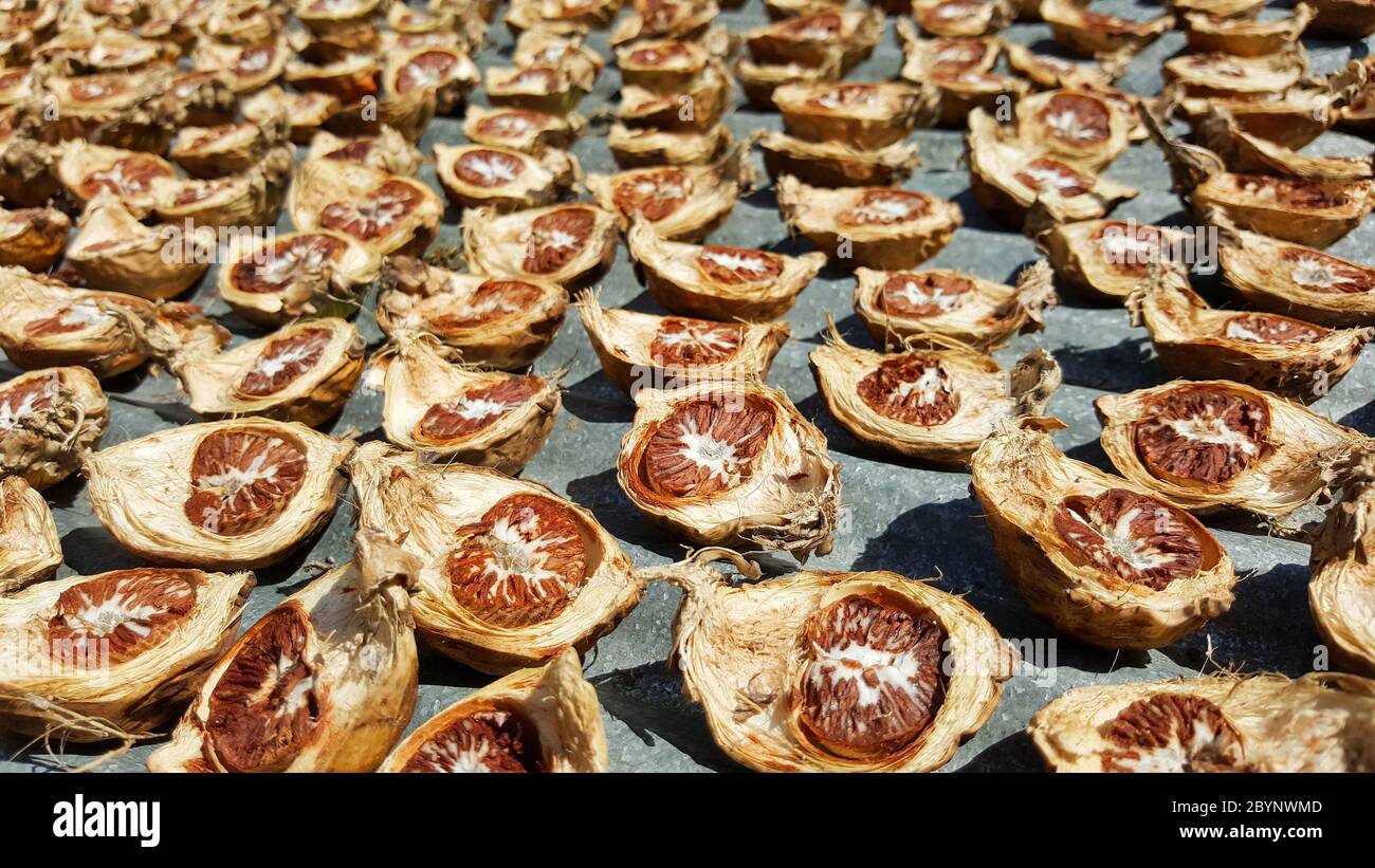 Dried areca nut hi-res stock photography and images - Alamy