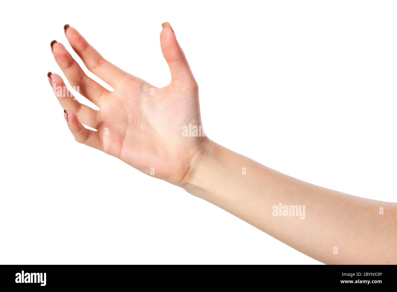 Female hand reaching for something on white Stock Photo - Alamy