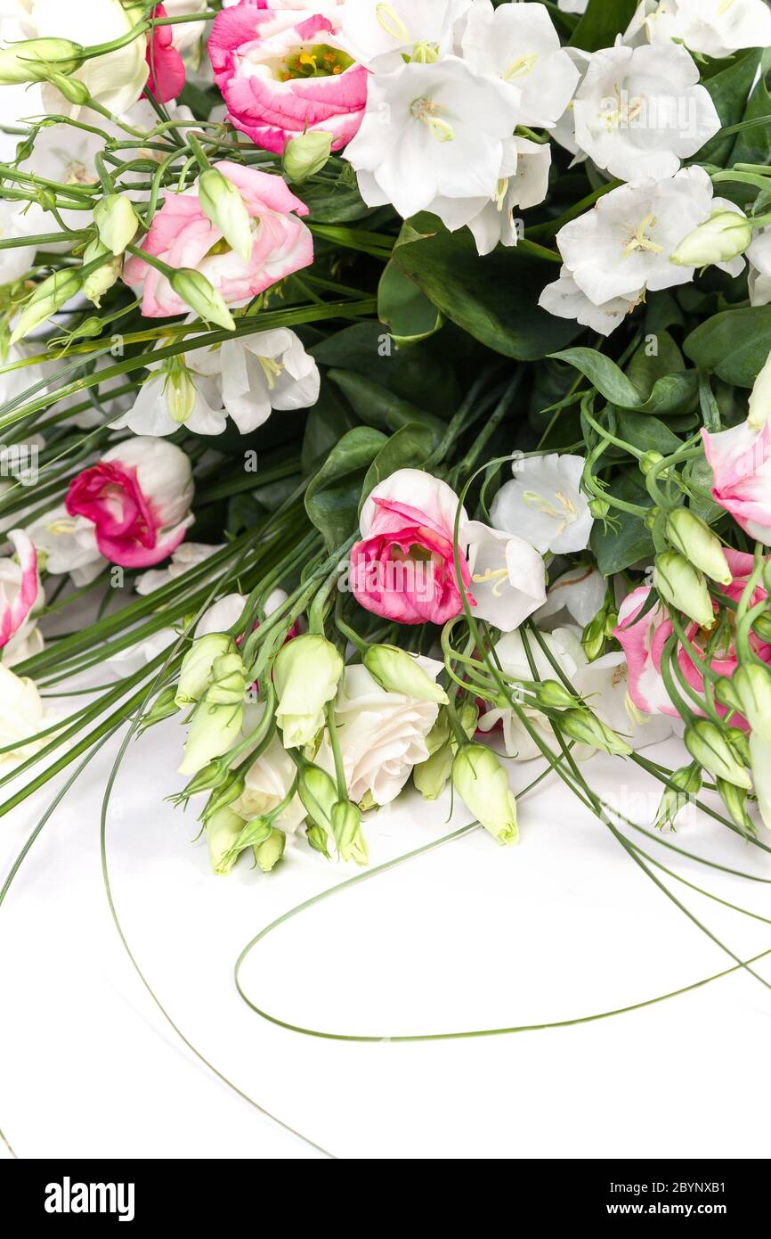 spring flowers background on white background Stock Photo - Alamy