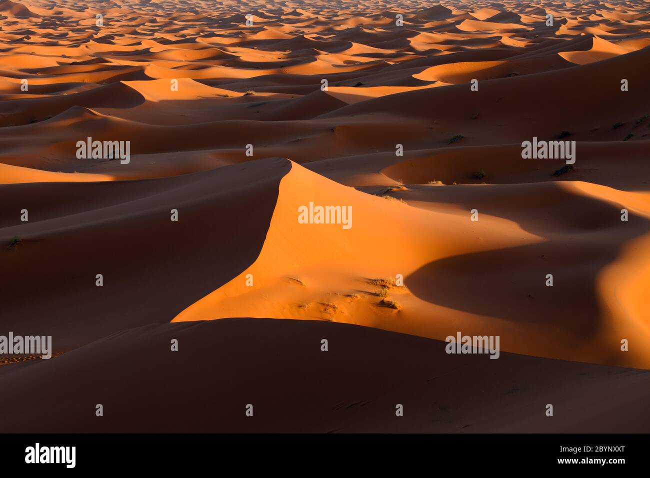 Sahara desert sunset view hi-res stock photography and images - Alamy