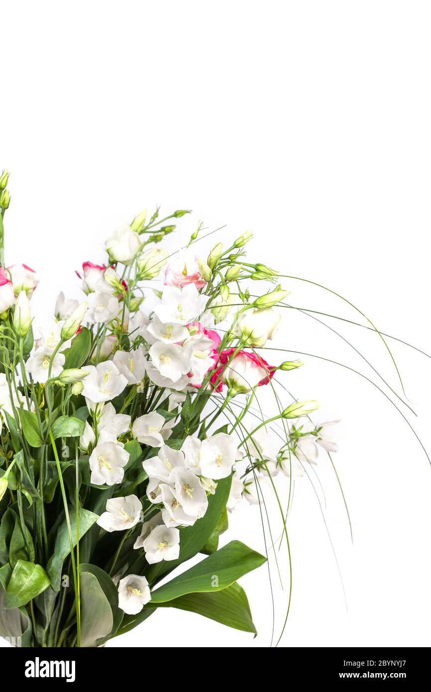 spring flowers background on white background Stock Photo - Alamy