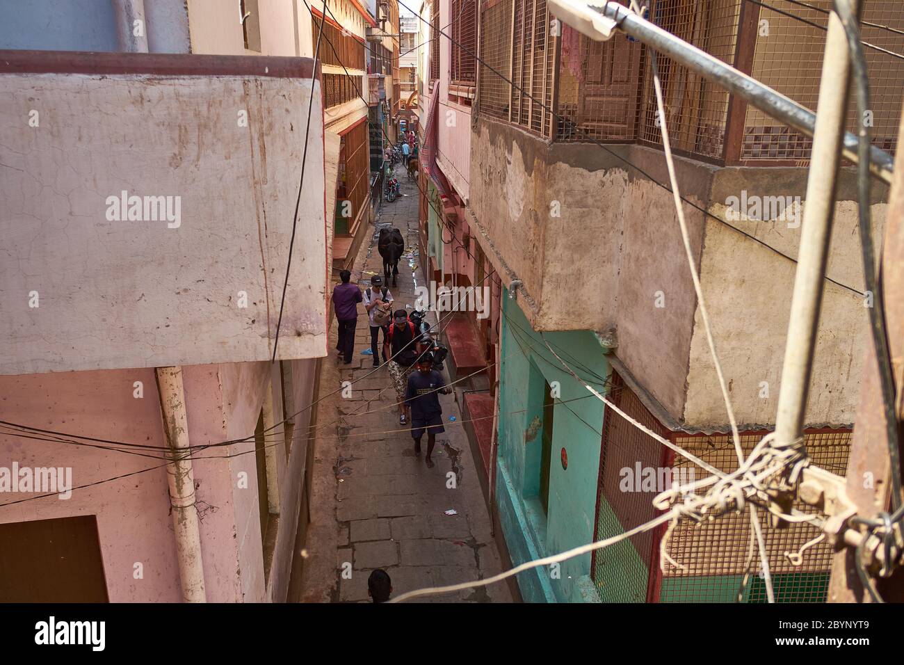 Top view of the narrow lanes of Kashi, or Benaras, as people and cows ...