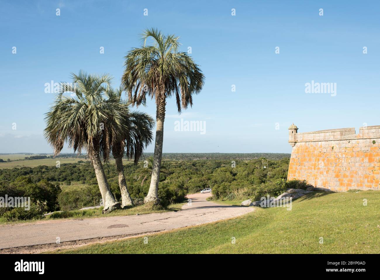 Historical Fortress of Santa Teresa and butia palm trees, in Rocha ...