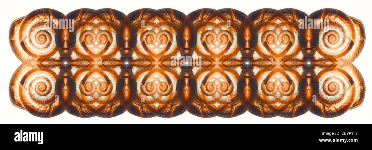 Abstract surreal snail shell pattern in beige color. Geometric shell ...