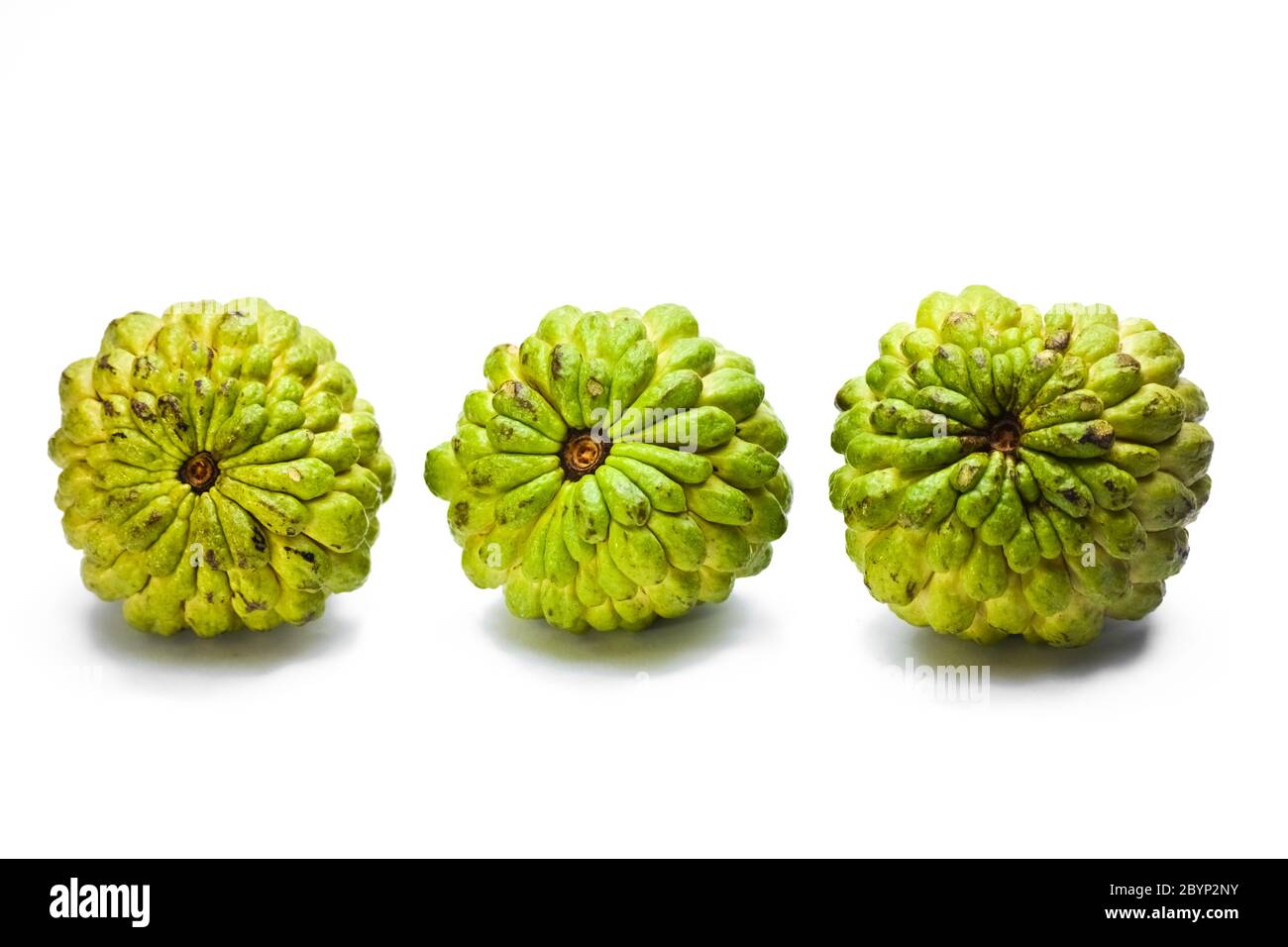 Custard Apple isolated on white background Stock Photo - Alamy