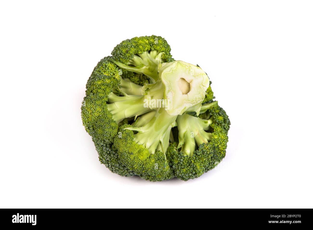 Single broccoli floret isolated on white Stock Photo - Alamy