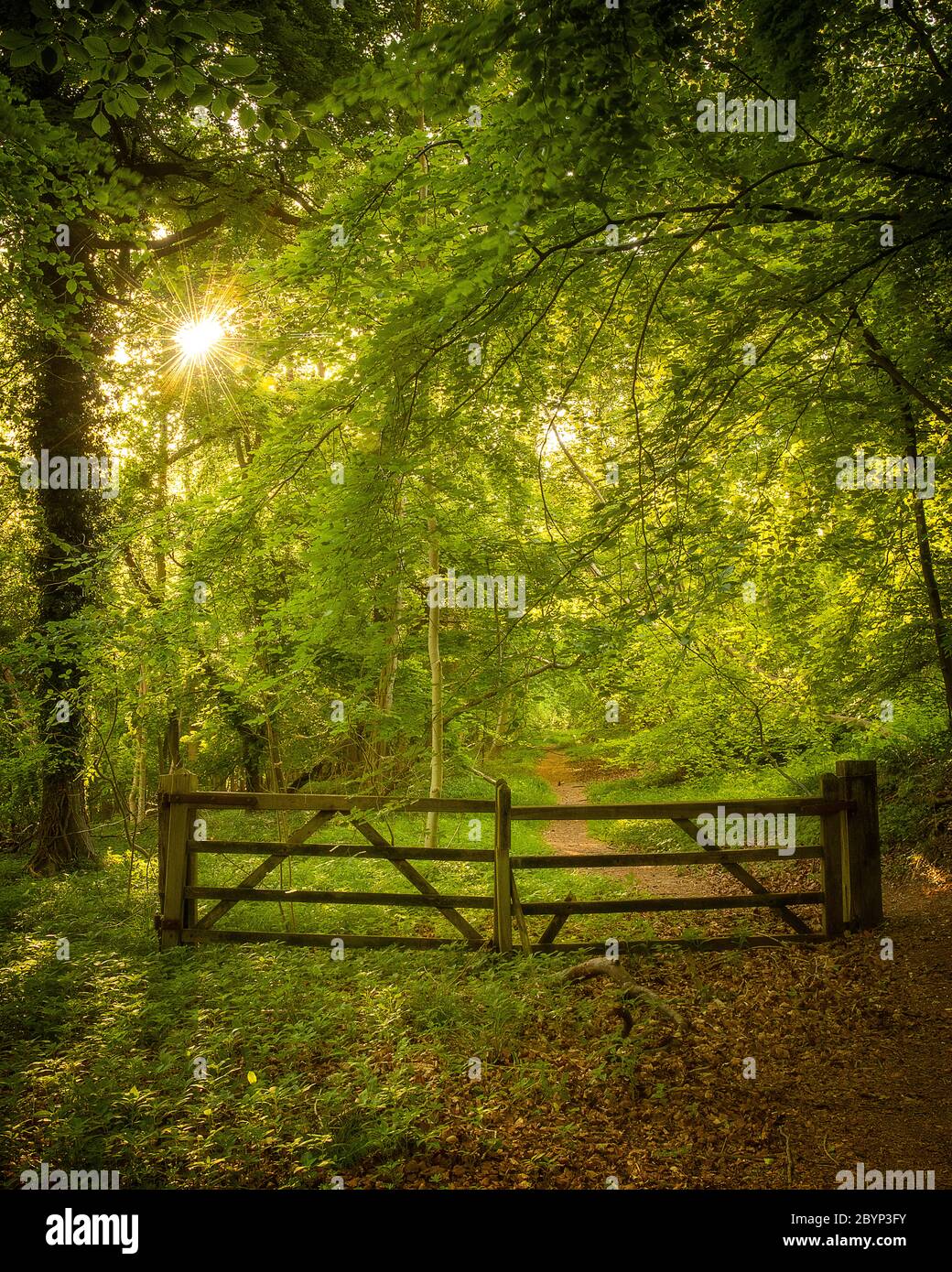 Sunburst gate hi-res stock photography and images - Alamy