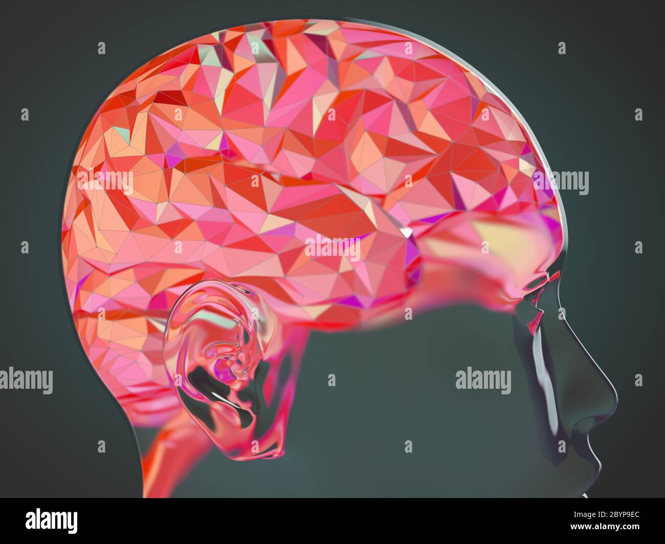 3d Illustration of a transparent human refractive skull with colorful ...