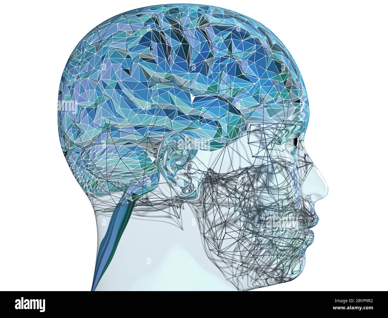 3d Illustration of a transparent human refractive skull with colorful ...