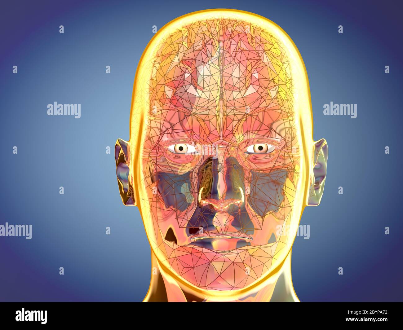 3d Illustration of a transparent human refractive skull with colorful ...