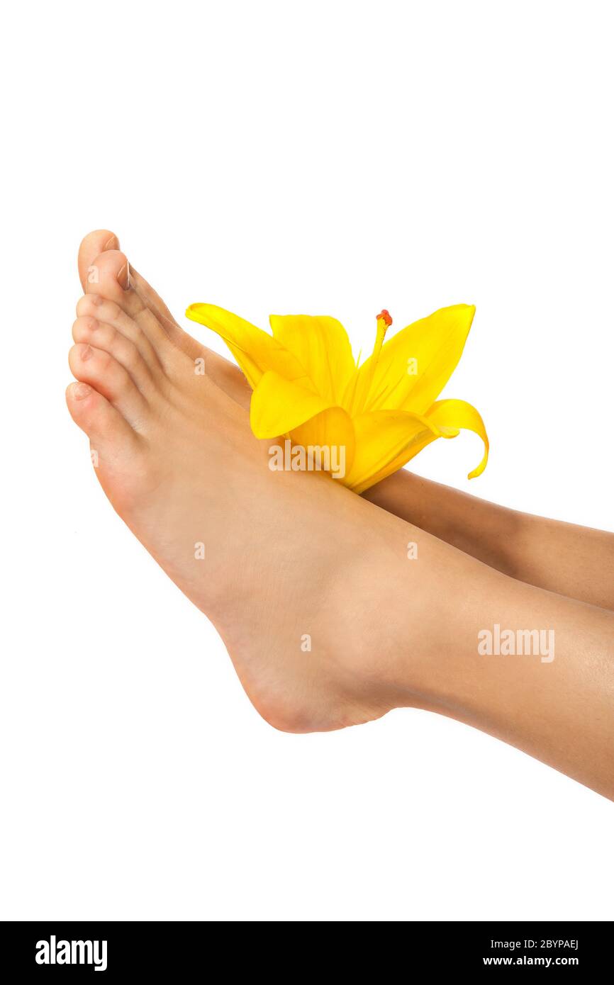 Beautiful woman legs with flower , isolated on white Stock Photo - Alamy
