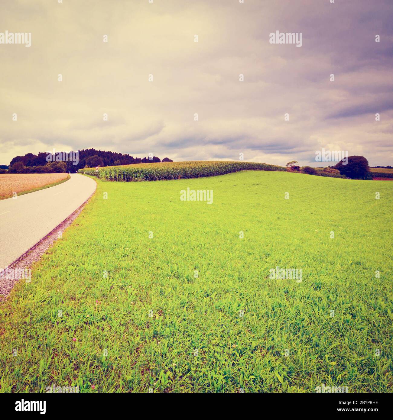 Fields in Germany Stock Photo - Alamy