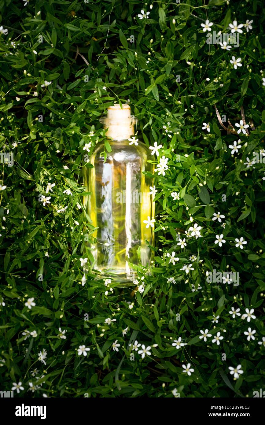 Natural organic oil in bottle, green grassy background Concept eco ...
