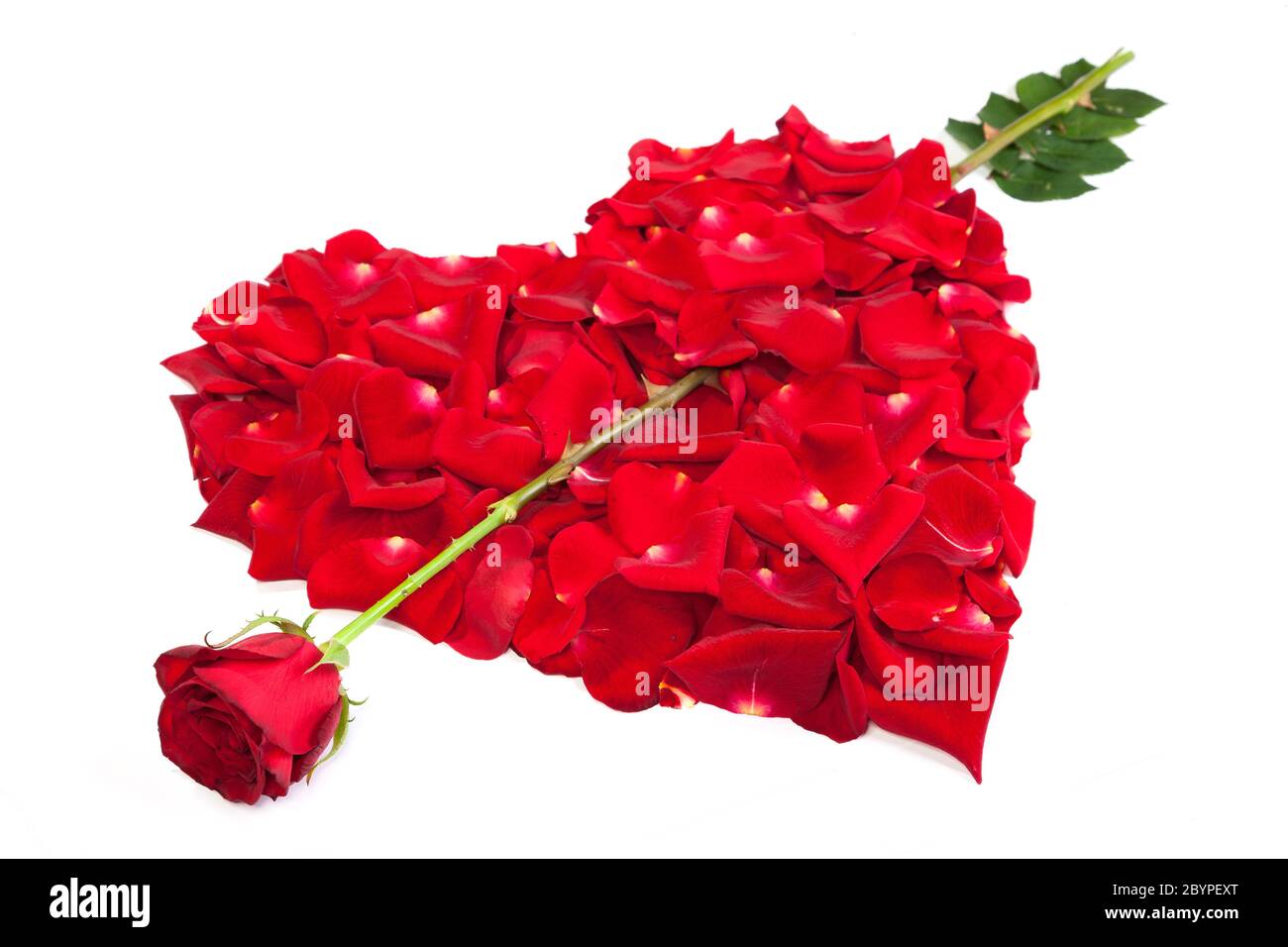 Heart shape made out of rose Stock Photo - Alamy