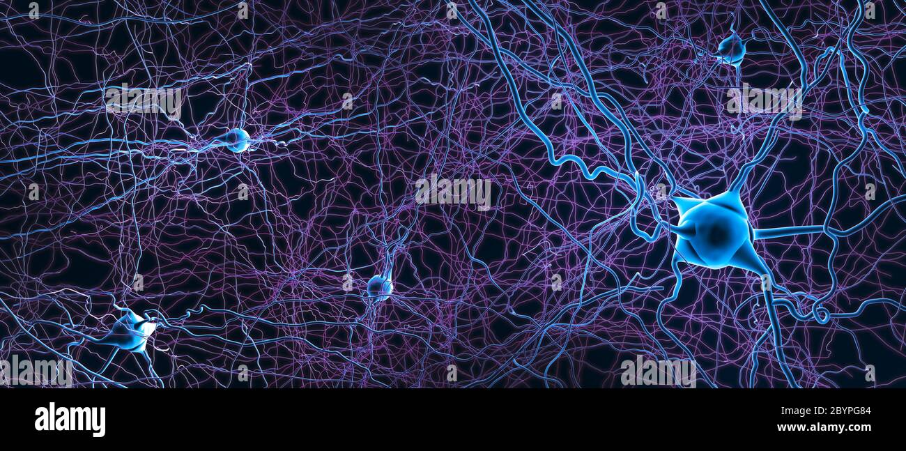 Neurons Connecting