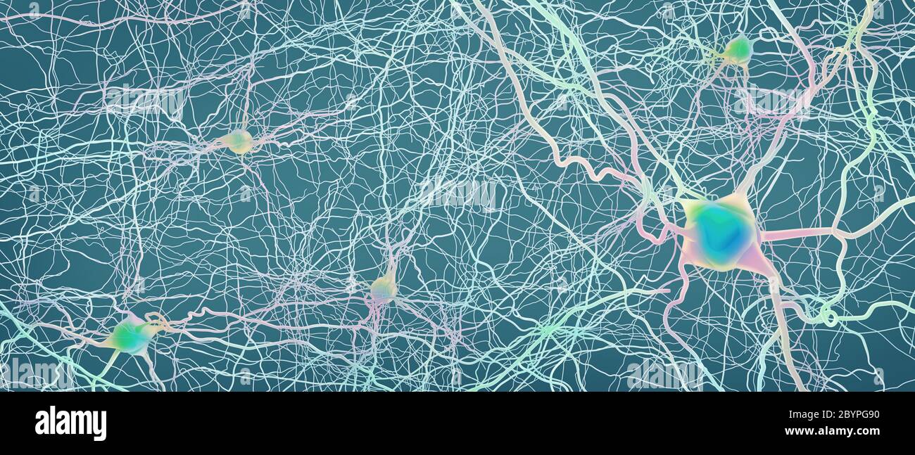 Connected neurons or nerve cells- 3d illustration Stock Photo - Alamy